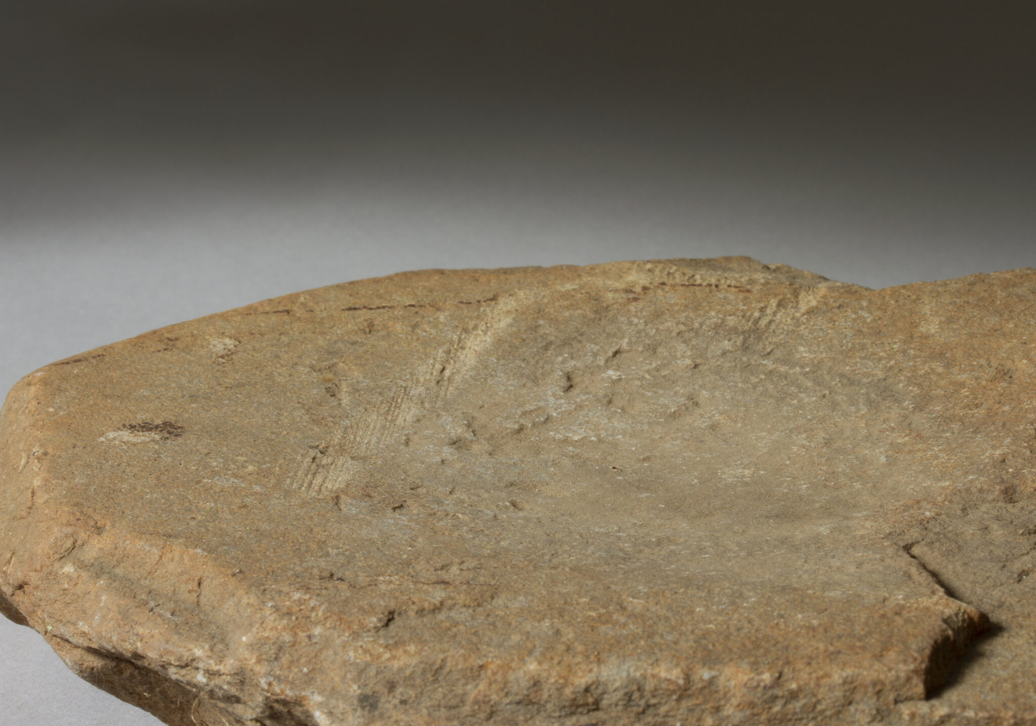 Grinding Stone – School of Archaeology and Anthropology Collections